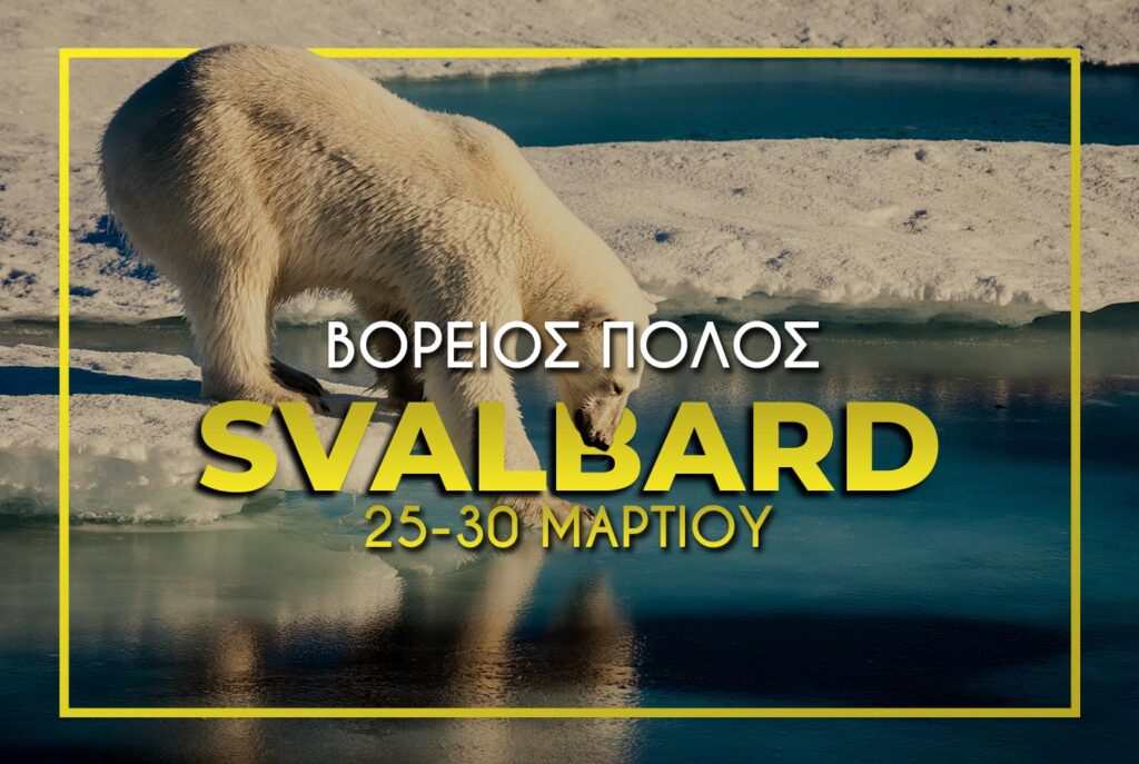 Οργανωμένα Roadtrips με Van • Εναλλακτικά ταξίδια • Altervan Roadtrips