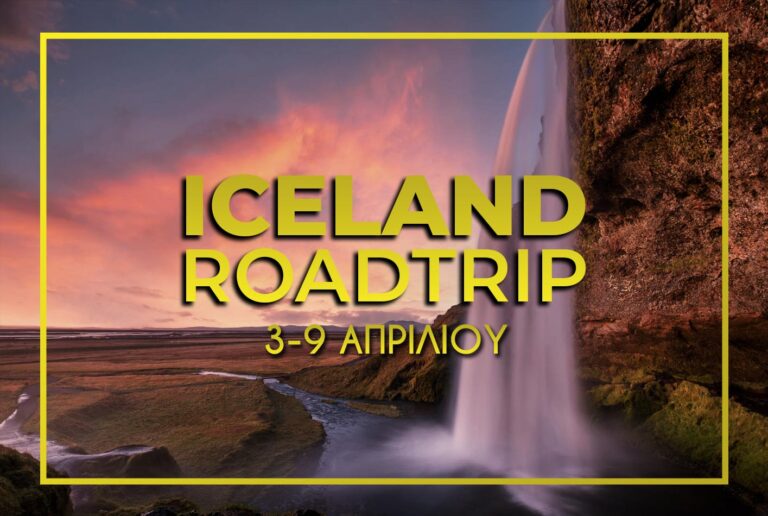 The Roadtrips - Altervan Roadtrips